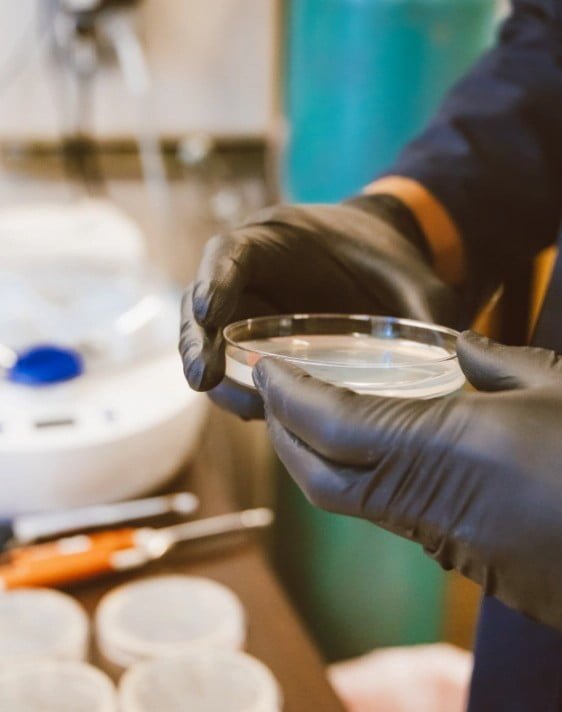 Sterile Compounding Pharmacy | Customized Medications | Pace Pharmacy